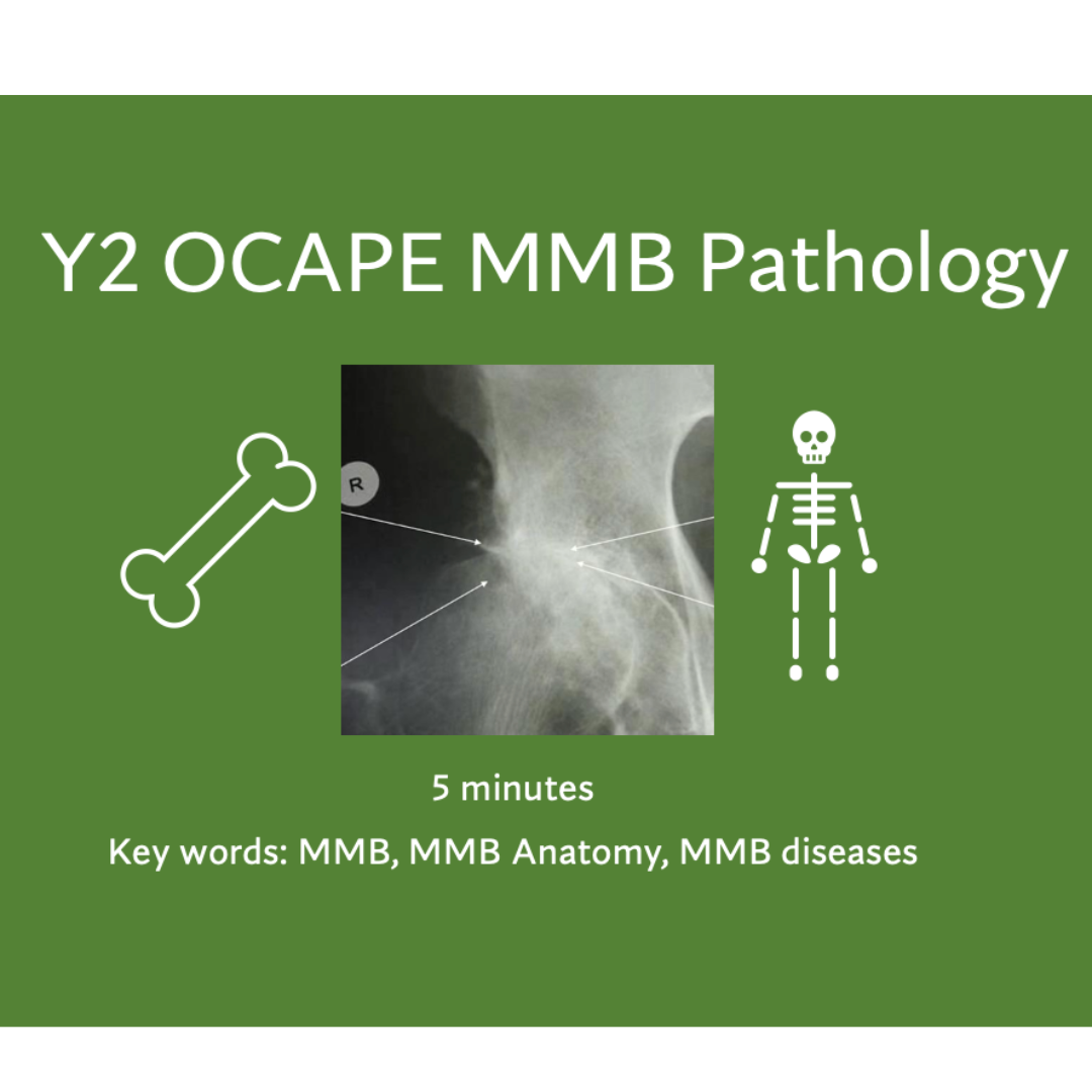 OCAPE: Y2 MMB Pathology • Meducate