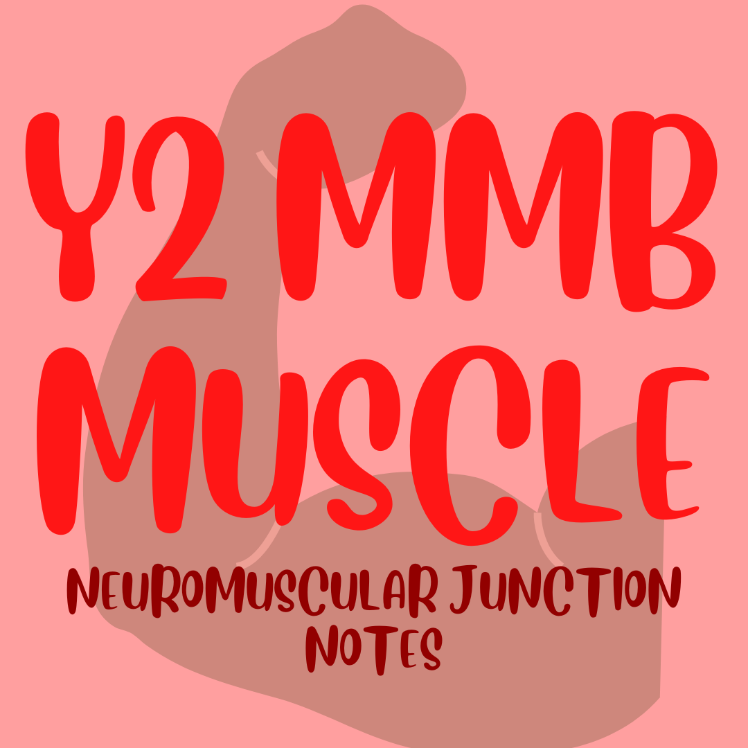 Video: MMB Upper Limb Summary • Meducate